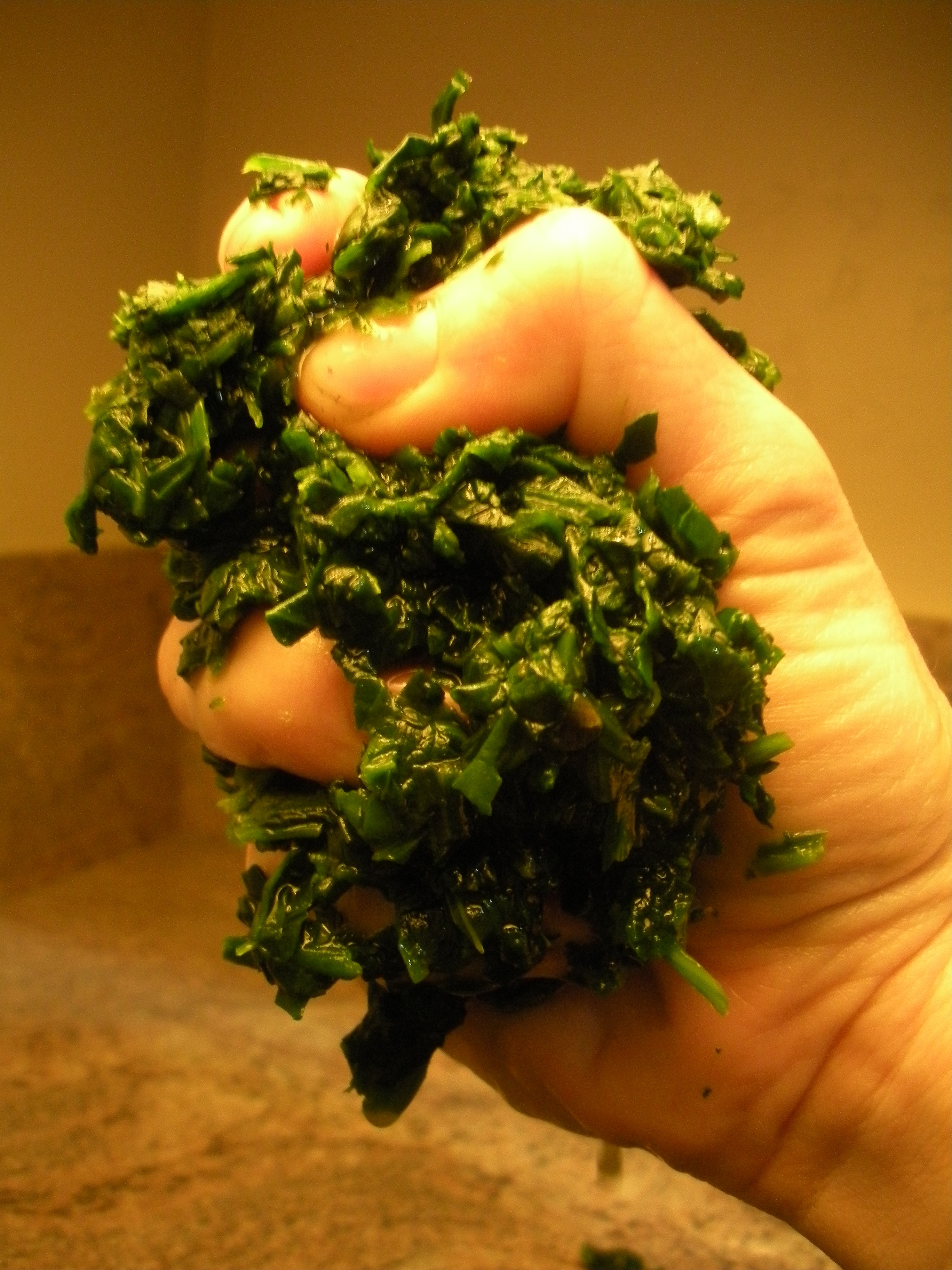 Spinach Spanakopita – The Fun Food Feed